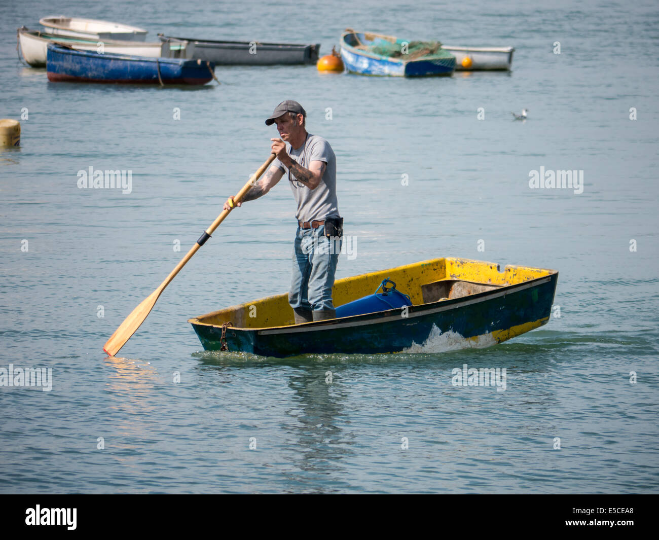 Ein ruder im wasser -Fotos und -Bildmaterial in hoher Auflösung – Alamy