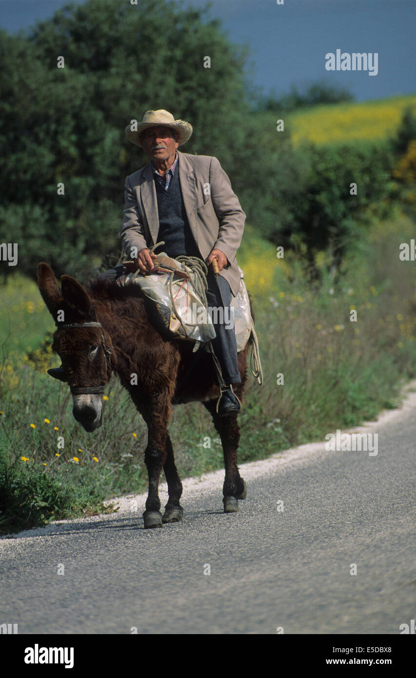 Mann und esel -Fotos und -Bildmaterial in hoher Auflösung – Alamy