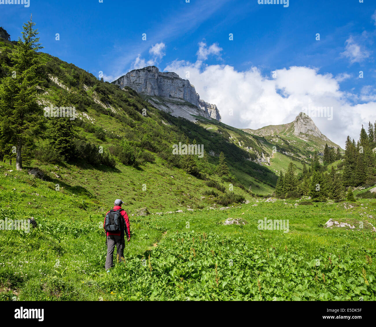 Hoher ifen berg -Fotos und -Bildmaterial in hoher Auflösung – Alamy