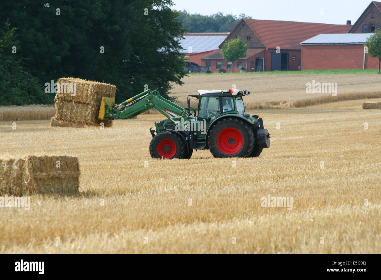 Trecker Traktor Stroh Strohballen Strohernte Weizen Roggen ...