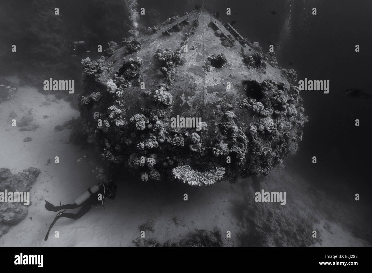 Jacques cousteau conshelf -Fotos und -Bildmaterial in hoher Auflösung ...