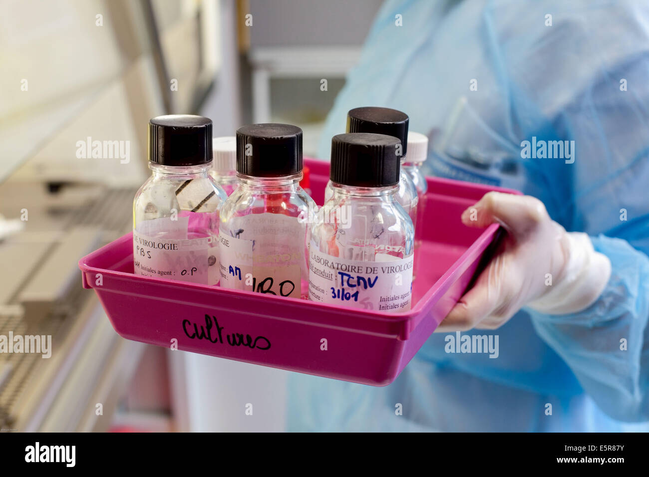 Biologie mikrobiologie virologie -Fotos und -Bildmaterial in hoher Auflösung – Alamy