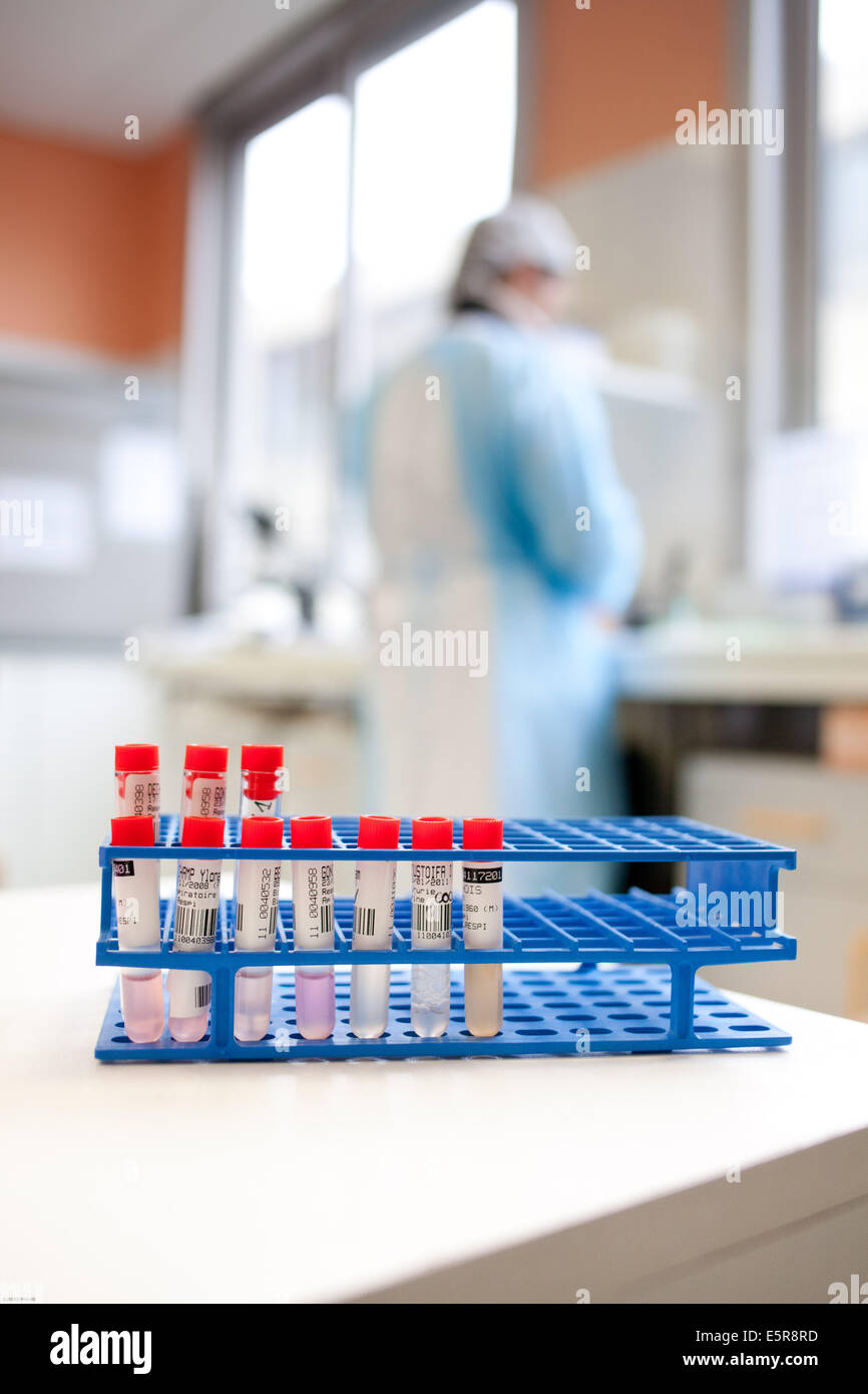 Virology laboratory -Fotos und -Bildmaterial in hoher Auflösung – Alamy