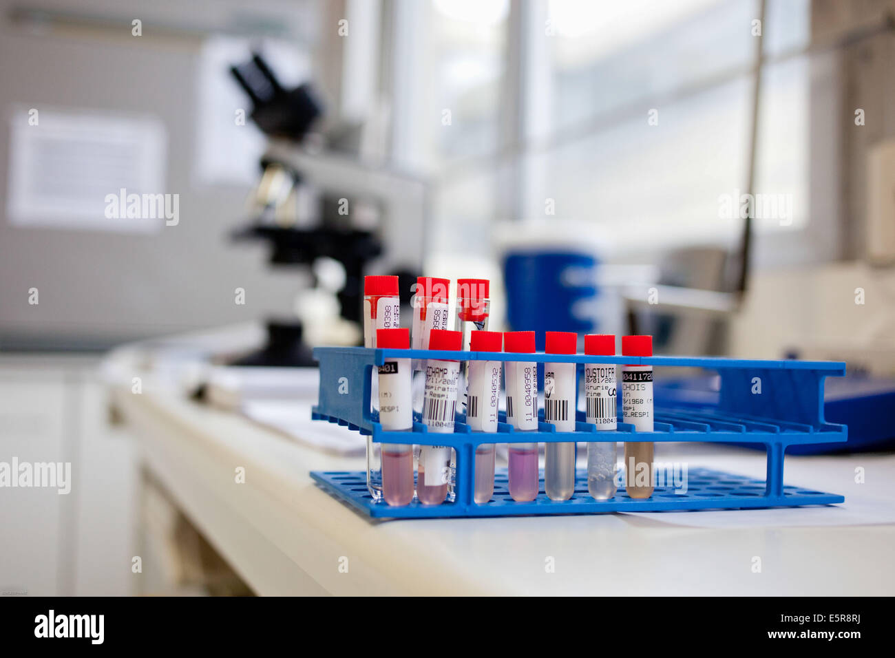 Biologie mikrobiologie virologie -Fotos und -Bildmaterial in hoher Auflösung – Alamy