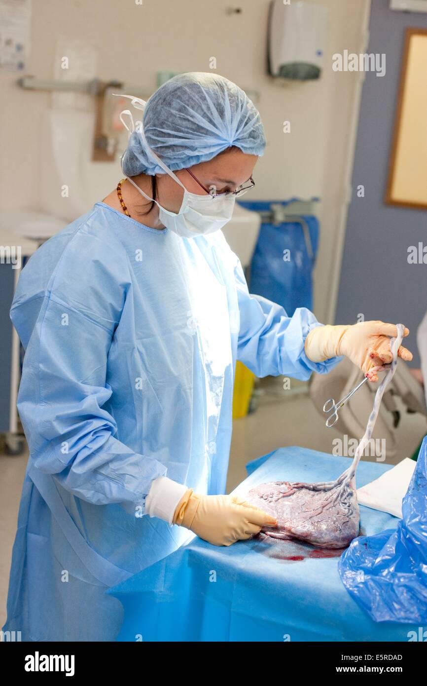 Placenta birth -Fotos und -Bildmaterial in hoher Auflösung – Alamy
