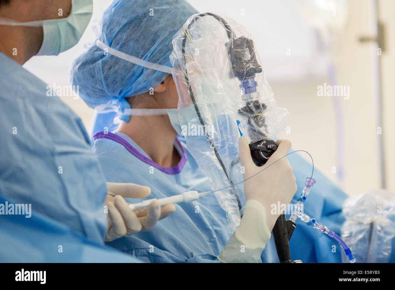 The ureter -Fotos und -Bildmaterial in hoher Auflösung – Alamy