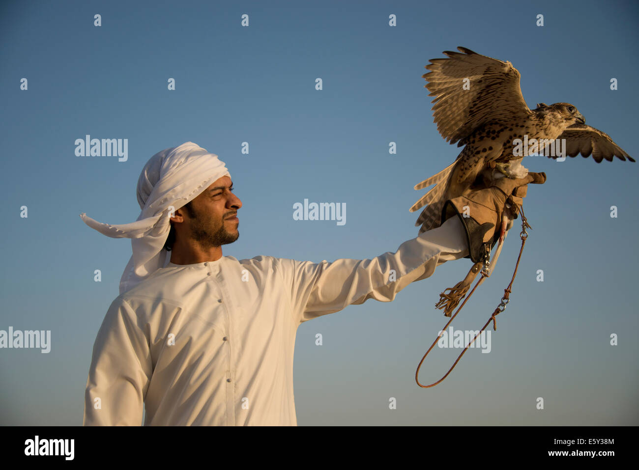 Emirati mann mit falken -Fotos und -Bildmaterial in hoher Auflösung – Alamy