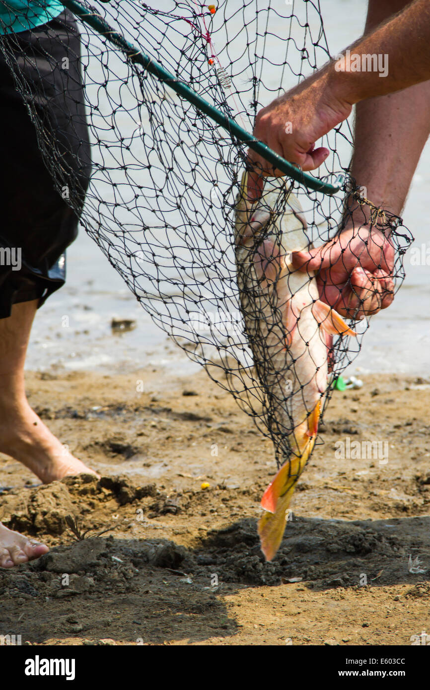 Die fische fangen -Fotos und -Bildmaterial in hoher Auflösung – Alamy