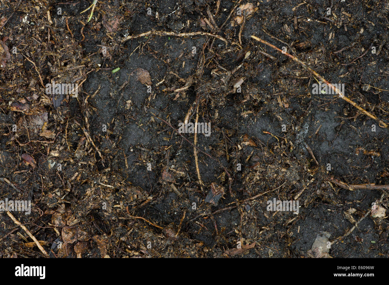 Lehm humus -Fotos und -Bildmaterial in hoher Auflösung – Alamy