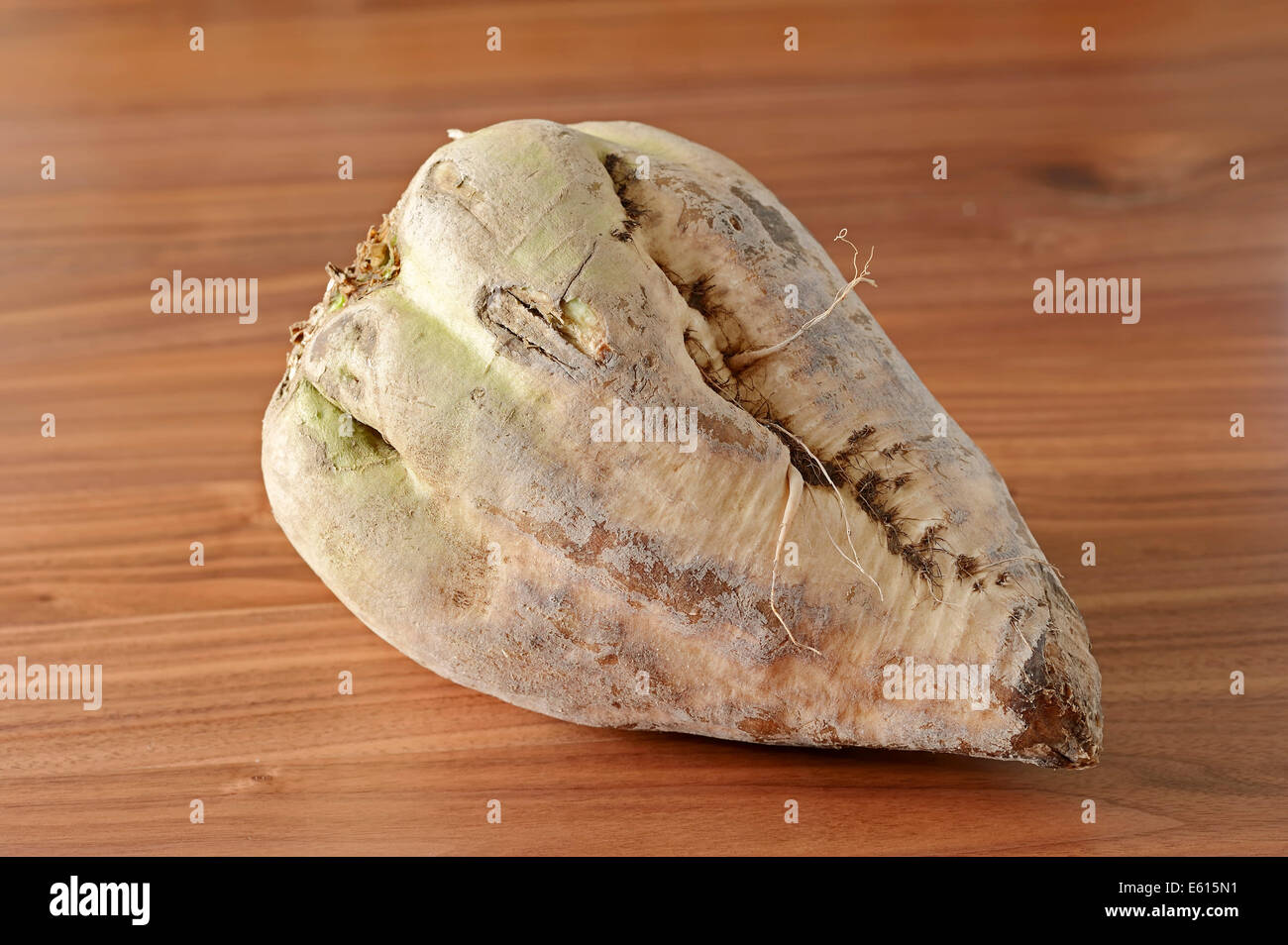 Sugar beets -Fotos und -Bildmaterial in hoher Auflösung – Alamy