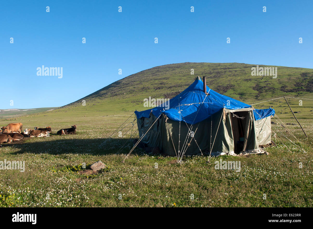 Yezidi religion -Fotos und -Bildmaterial in hoher Auflösung – Alamy