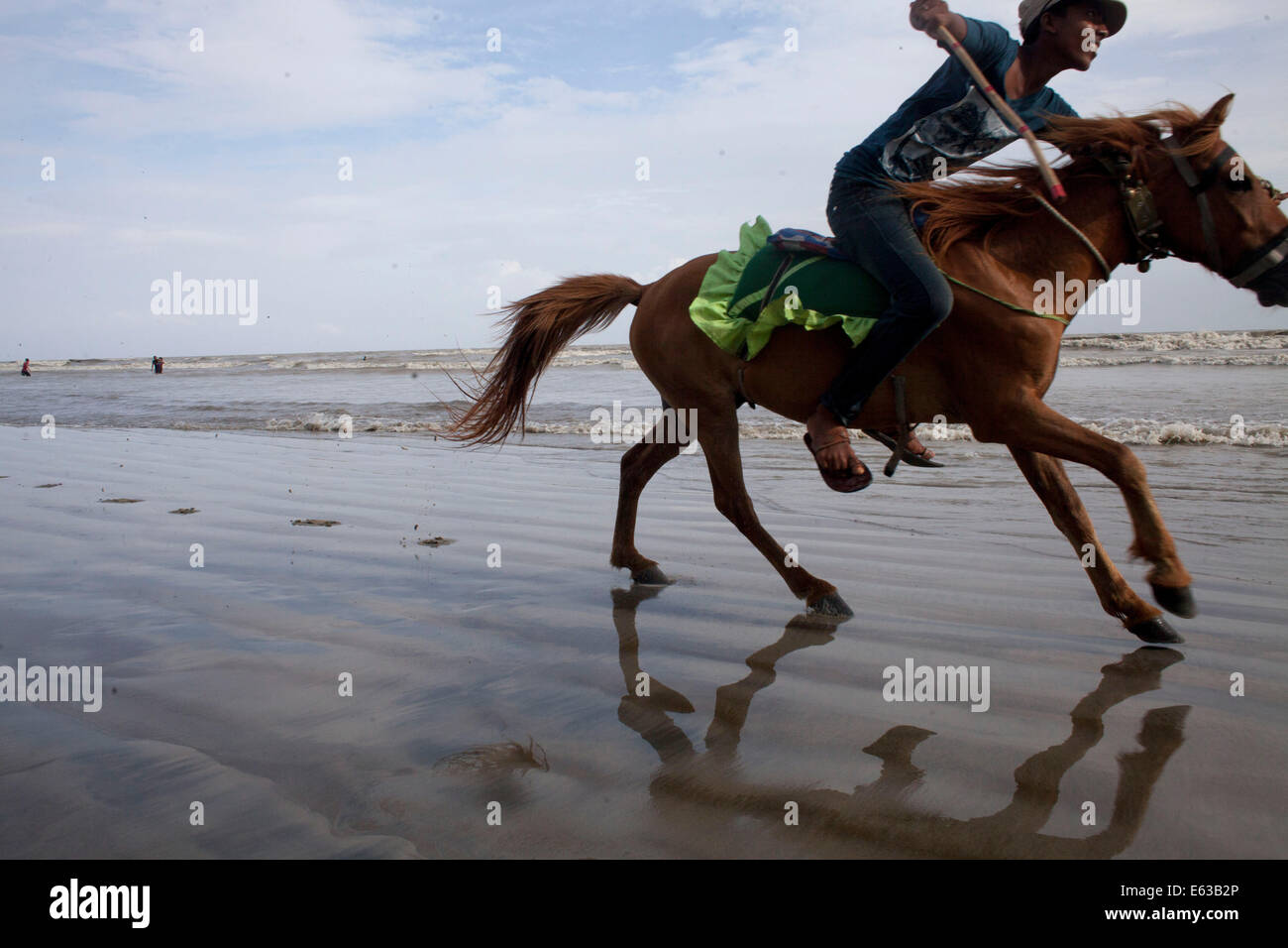 Pferd beac -Fotos und -Bildmaterial in hoher Auflösung – Alamy