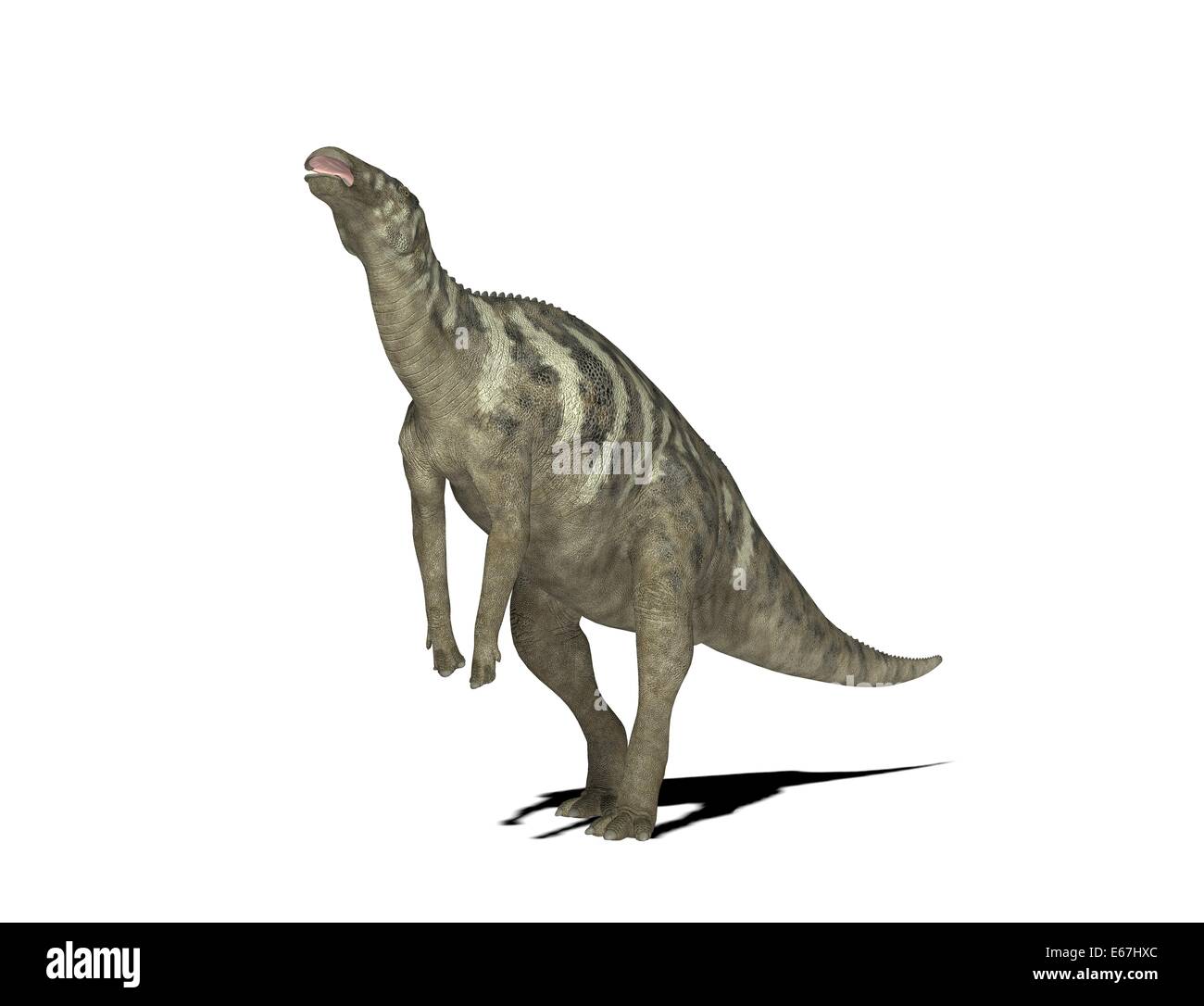 Edmontosaurus dinosaur -Fotos und -Bildmaterial in hoher Auflösung – Alamy