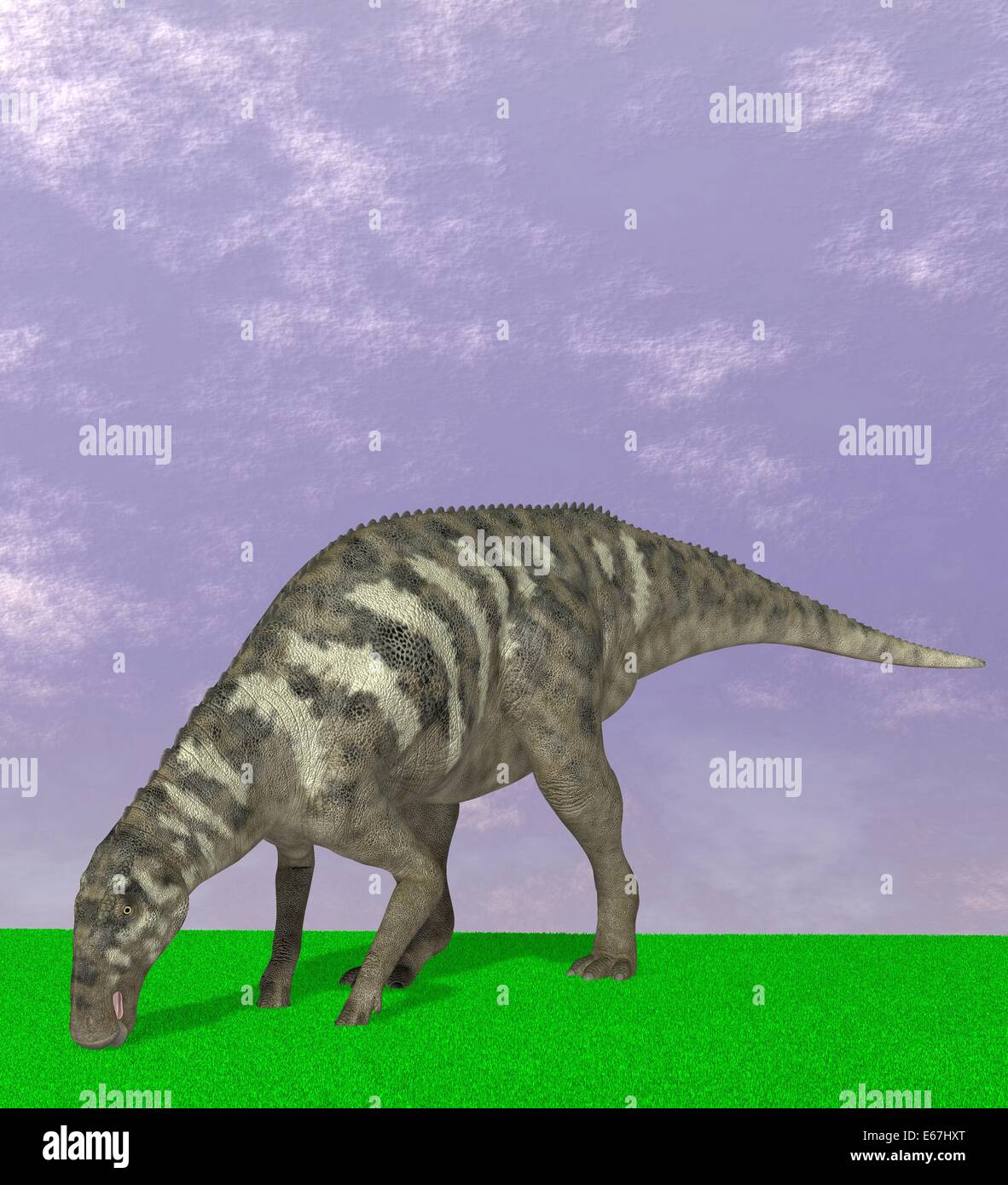 Edmontosaurus dinosaur -Fotos und -Bildmaterial in hoher Auflösung – Alamy