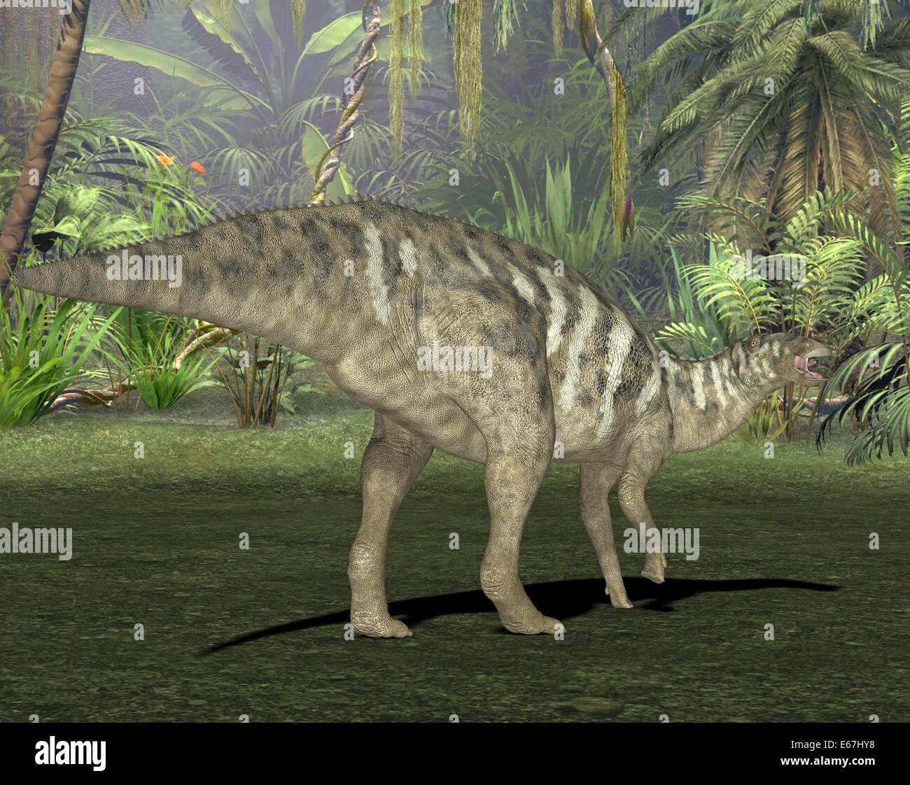 Edmontosaurus edmontosaurus -Fotos und -Bildmaterial in hoher Auflösung ...