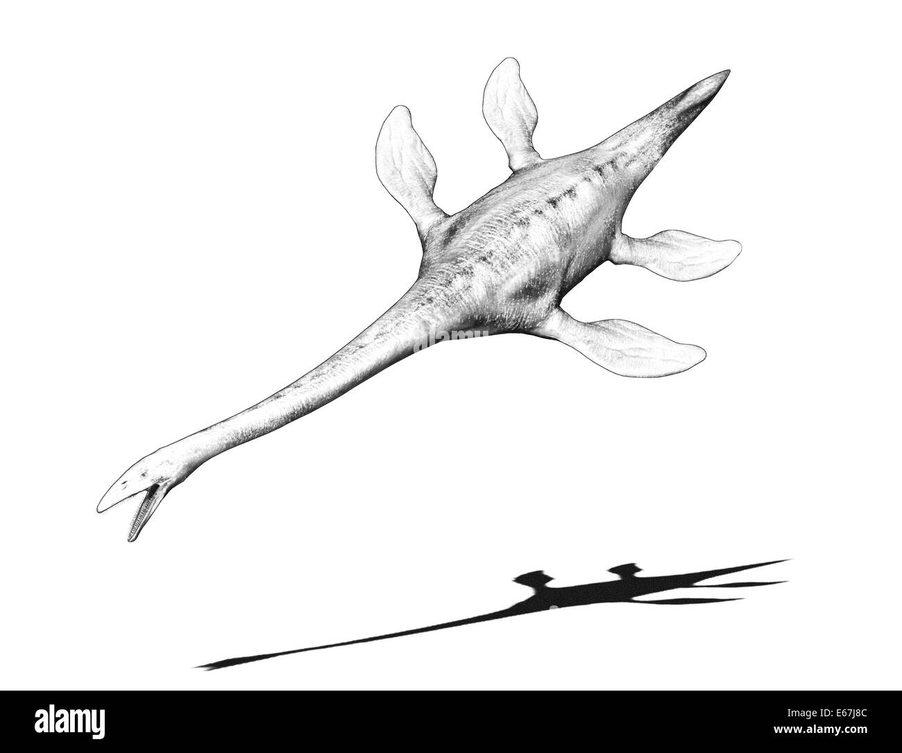 Malvorlage Elasmosaurus