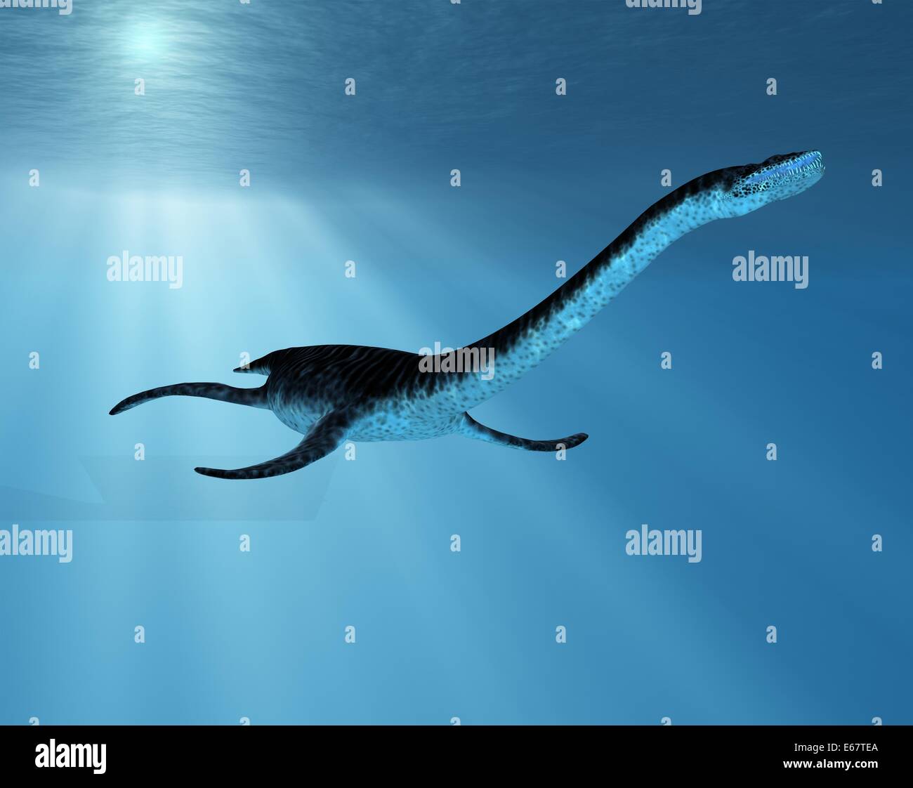 Dinosaurier Plesiosaurus / Dinosaurier Plesiosaurus Stockfotografie - Alamy