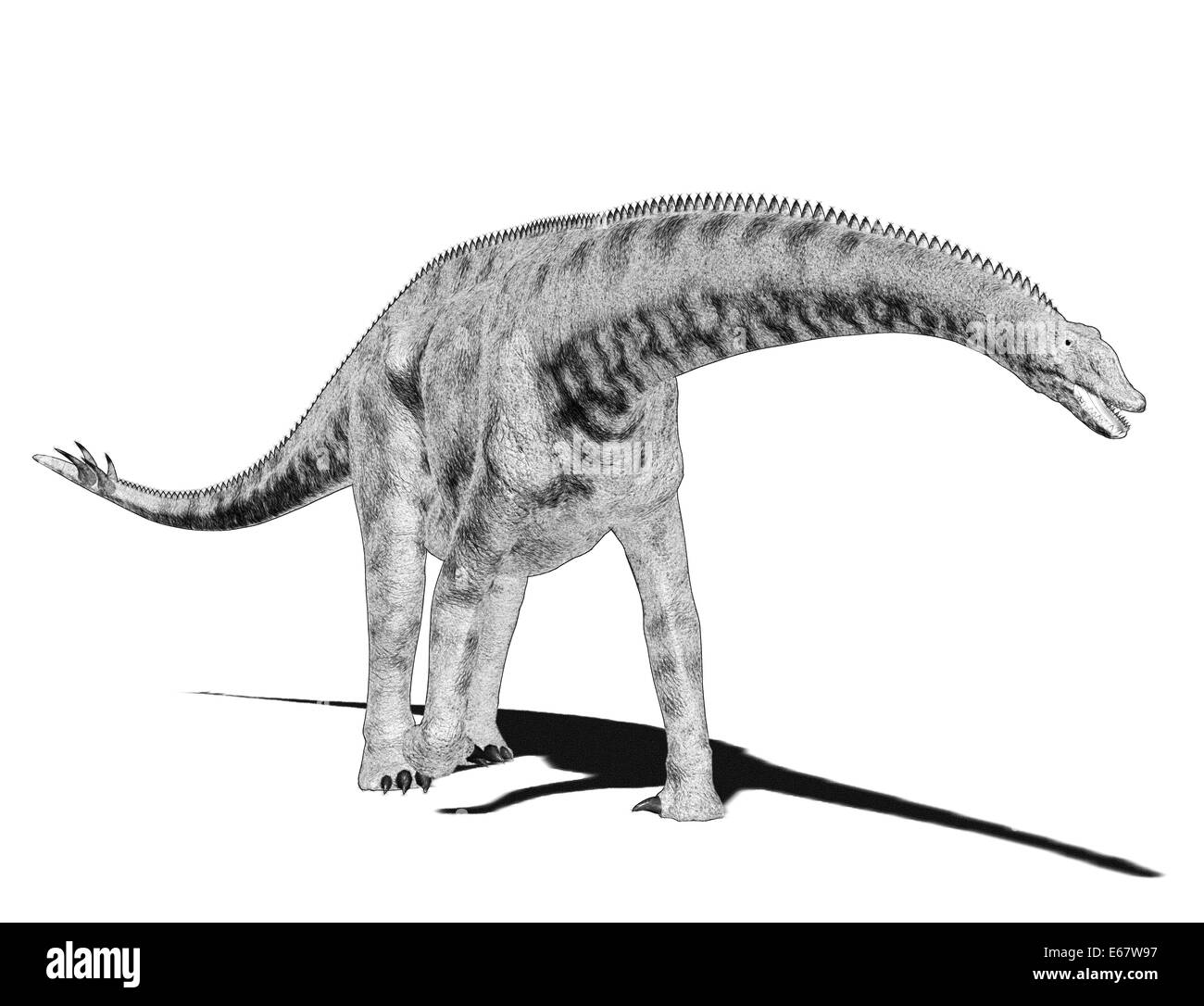 Spinophorosaurus nigerensis -Fotos und -Bildmaterial in hoher Auflösung ...