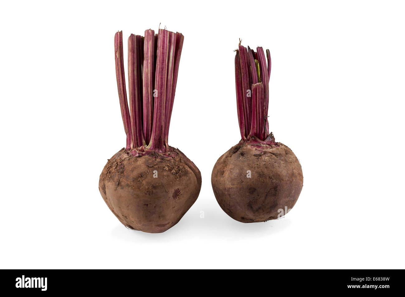 Rote bete beet garten Ausgeschnittene Stockfotos und -bilder - Alamy