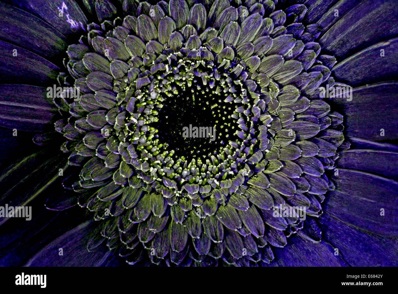 Uv bandpassfilter -Fotos und -Bildmaterial in hoher Auflösung – Alamy