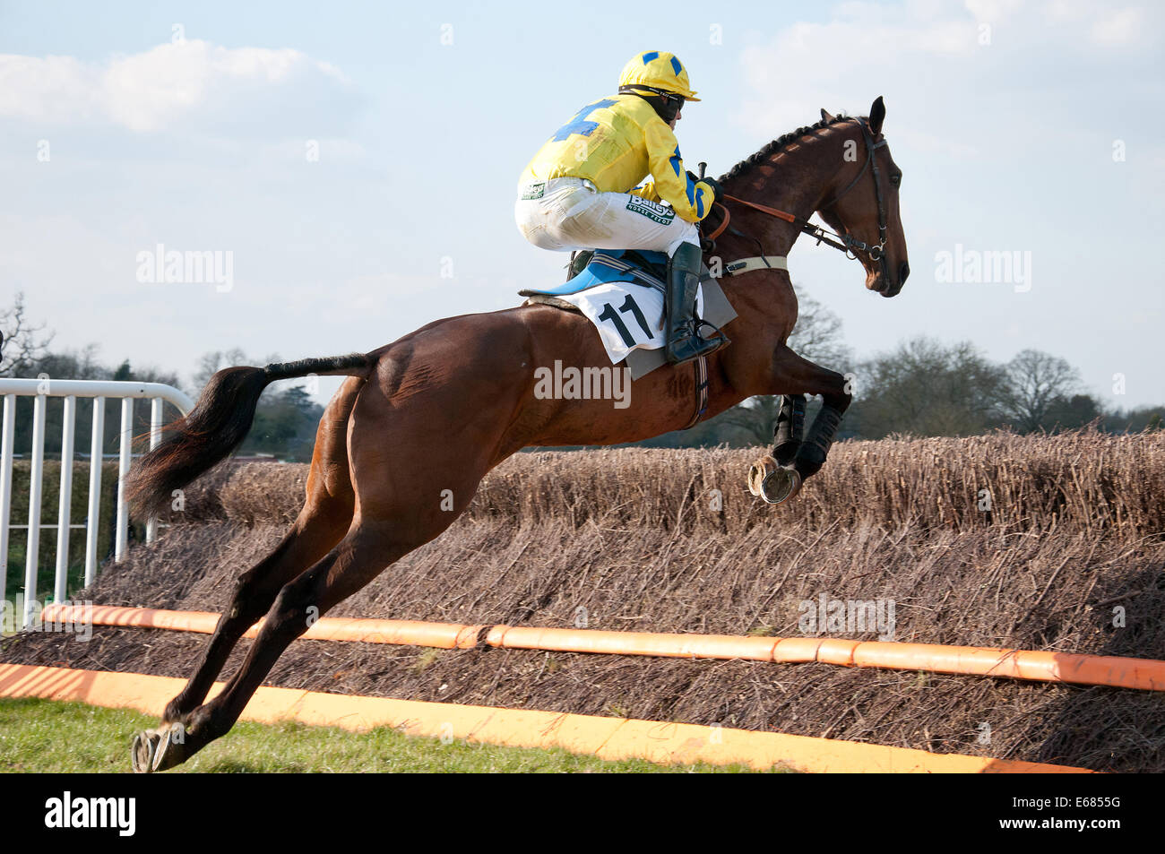 Springendes pferd -Fotos und -Bildmaterial in hoher Auflösung – Alamy