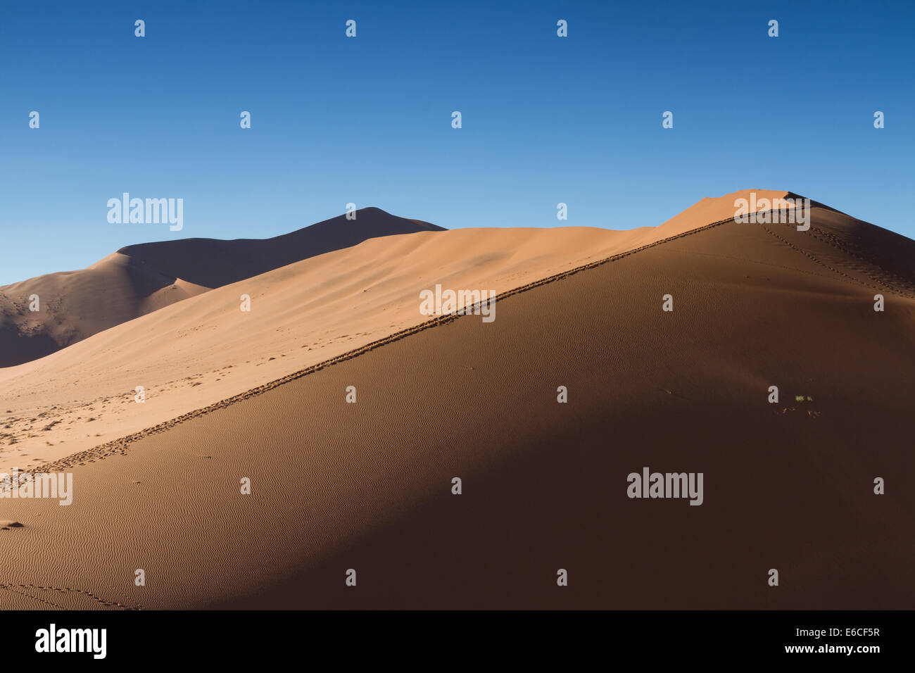 Big daddy düne -Fotos und -Bildmaterial in hoher Auflösung – Alamy