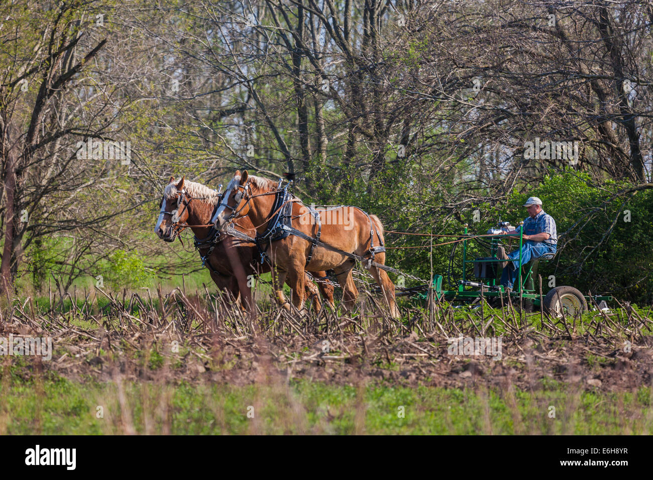 Bauer pferd pflug -Fotos und -Bildmaterial in hoher Auflösung – Alamy