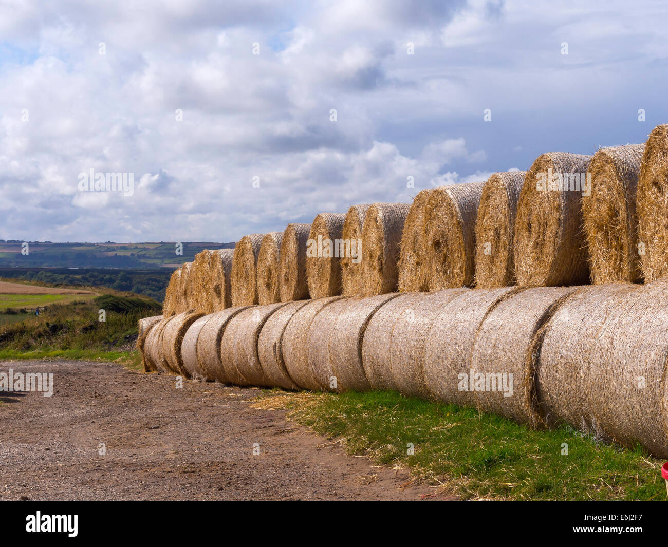 Heu stroh -Fotos und -Bildmaterial in hoher Auflösung – Alamy