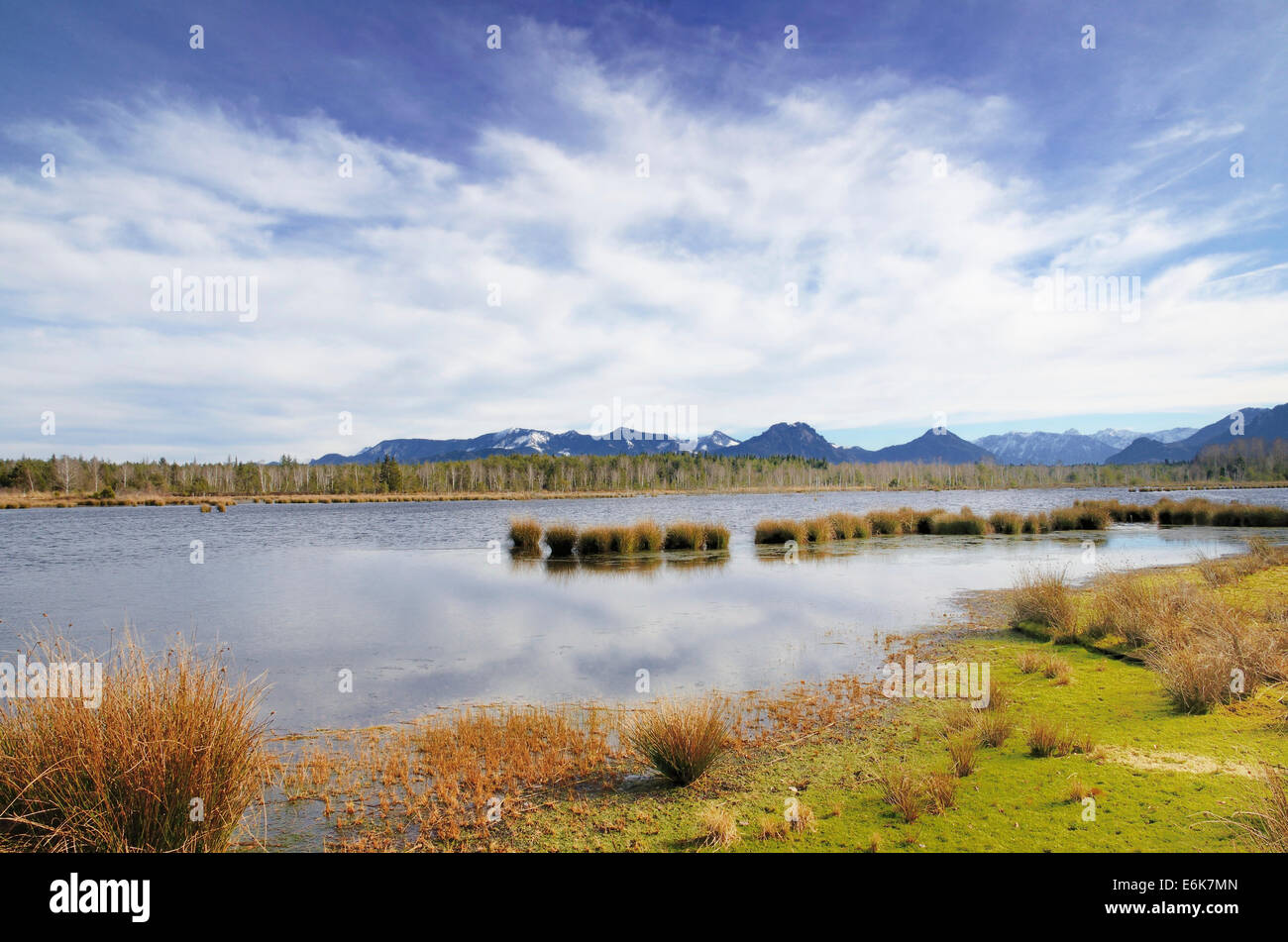 Naß, renaturierte Torf-Abbaugebiet mit moortypische Vegetation ...