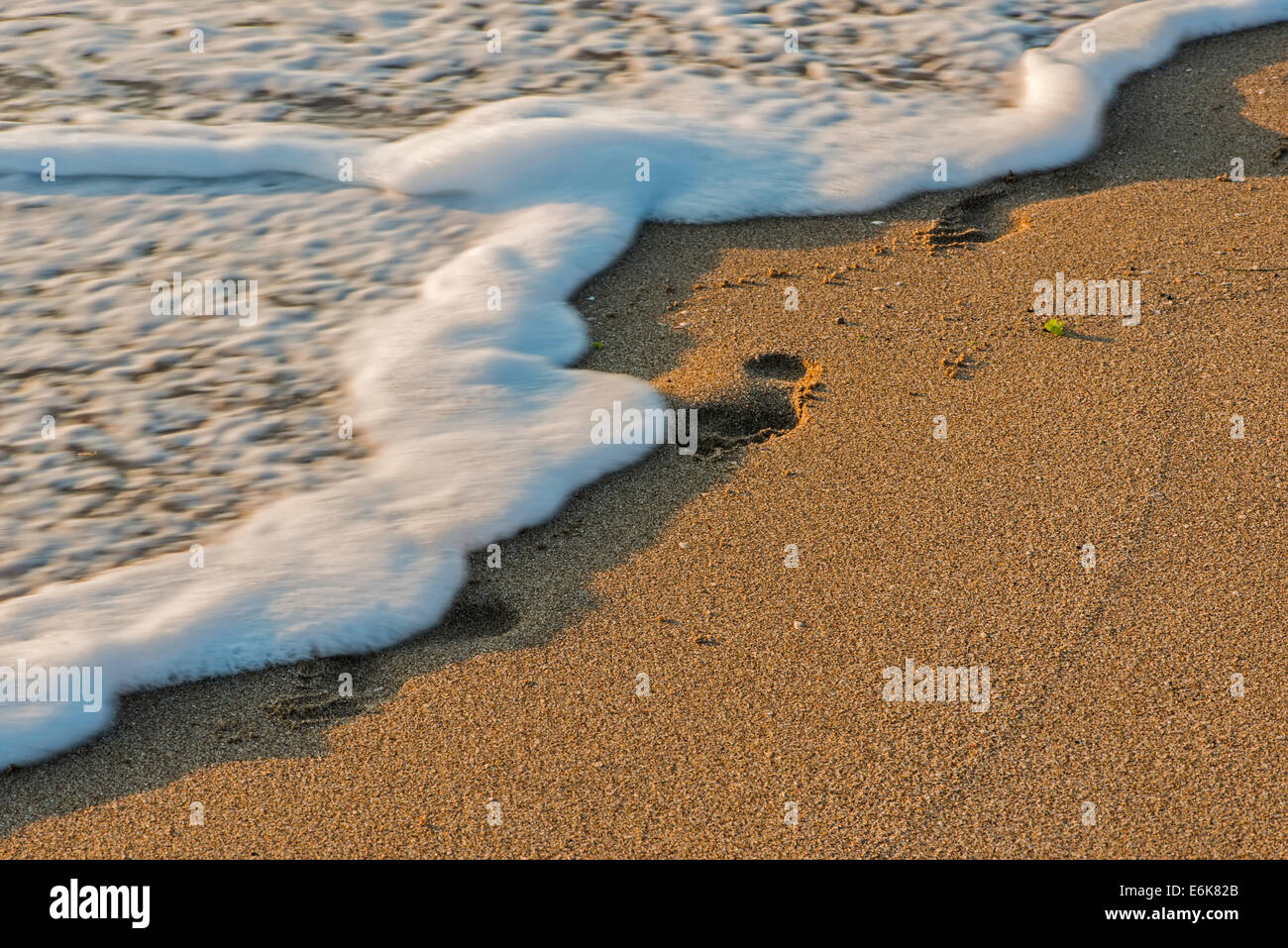 Schritte am strand -Fotos und -Bildmaterial in hoher Auflösung – Alamy