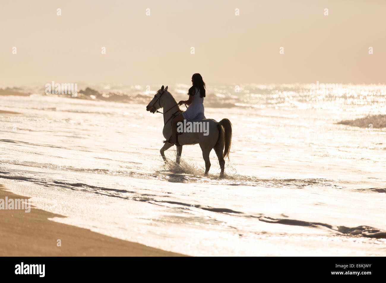Sonnenuntergang reiten am strand -Fotos und -Bildmaterial in hoher ...