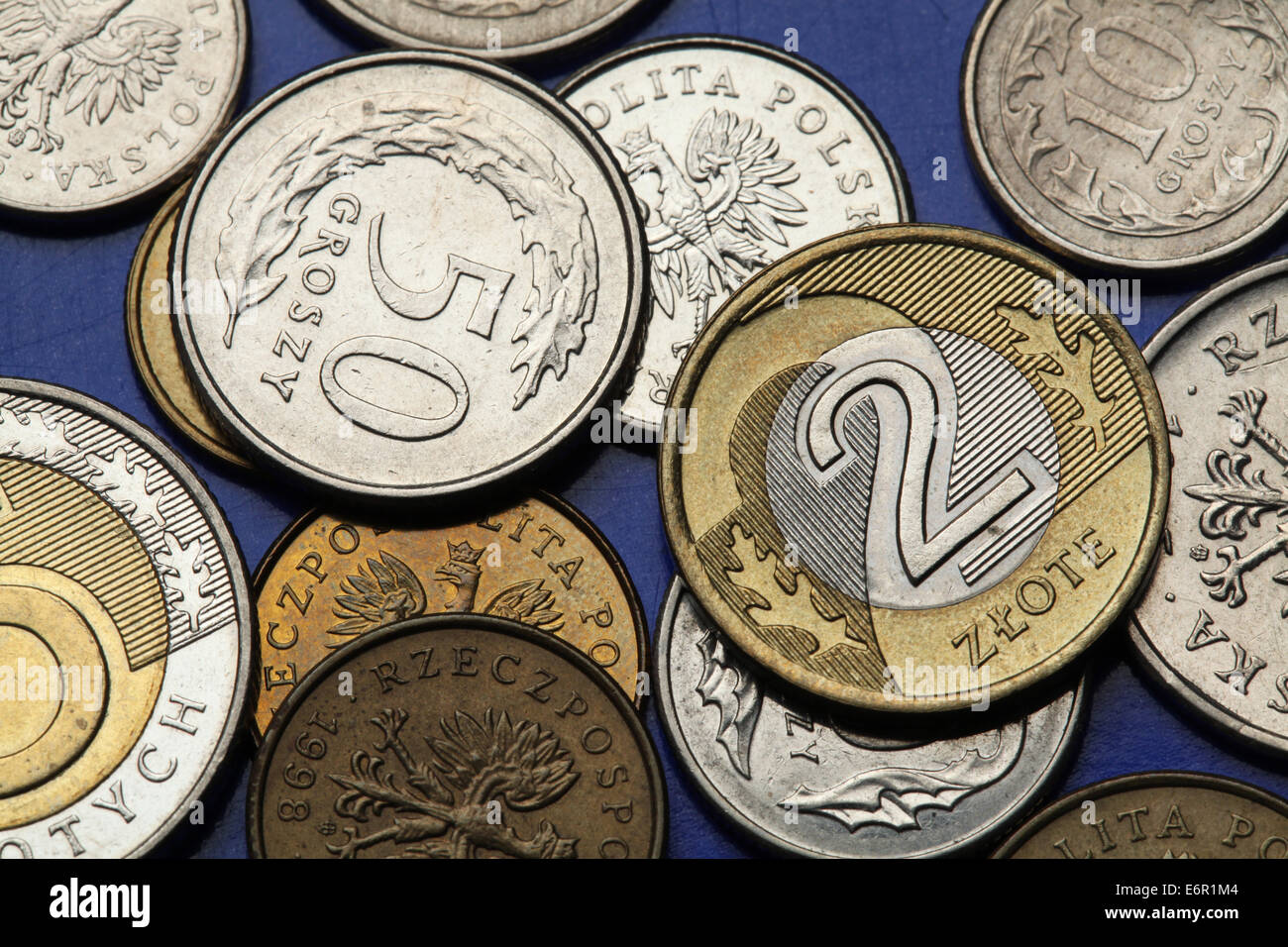 Polnische zloty münze -Fotos und -Bildmaterial in hoher Auflösung – Alamy