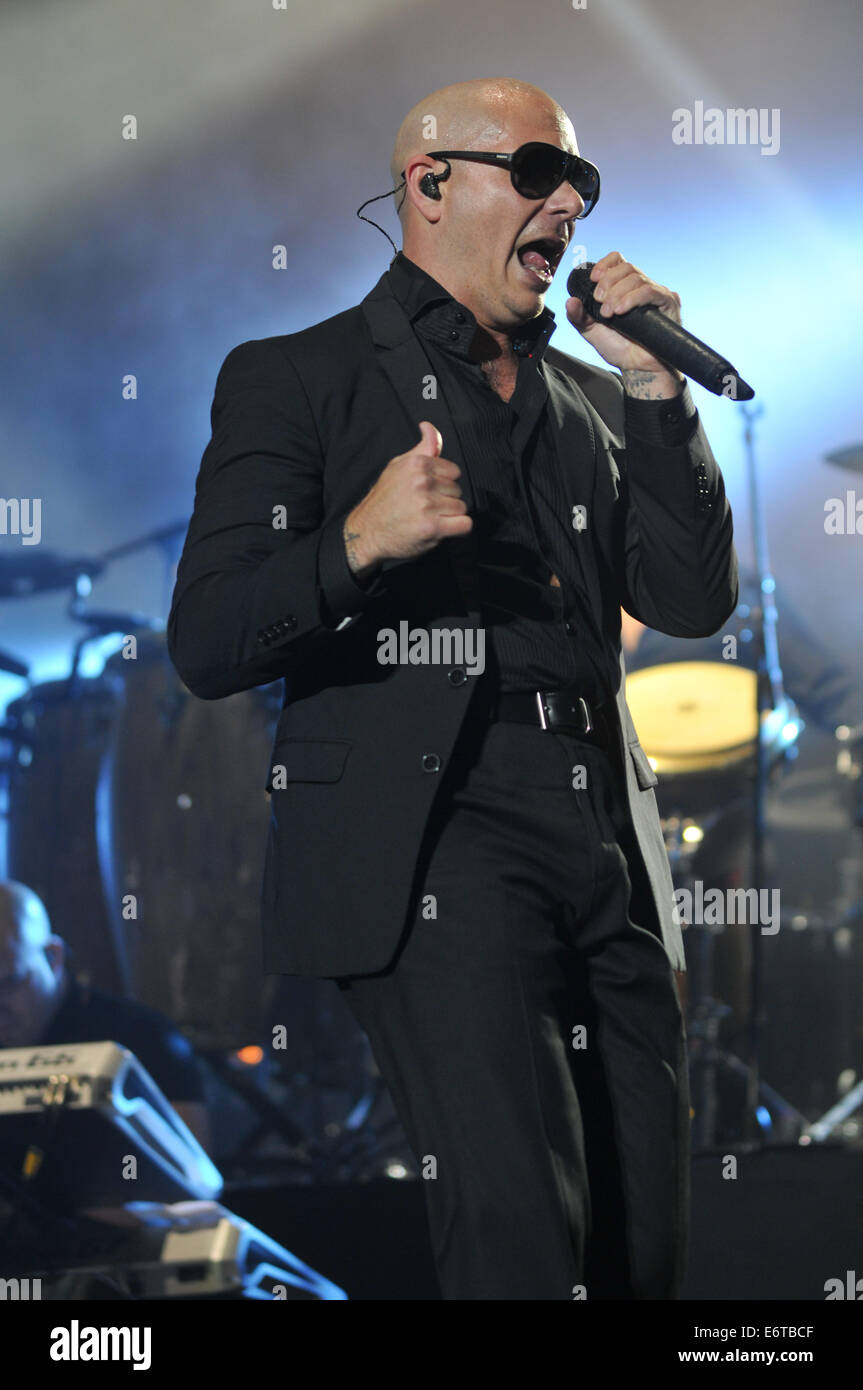 Pitbull singer -Fotos und -Bildmaterial in hoher Auflösung – Alamy