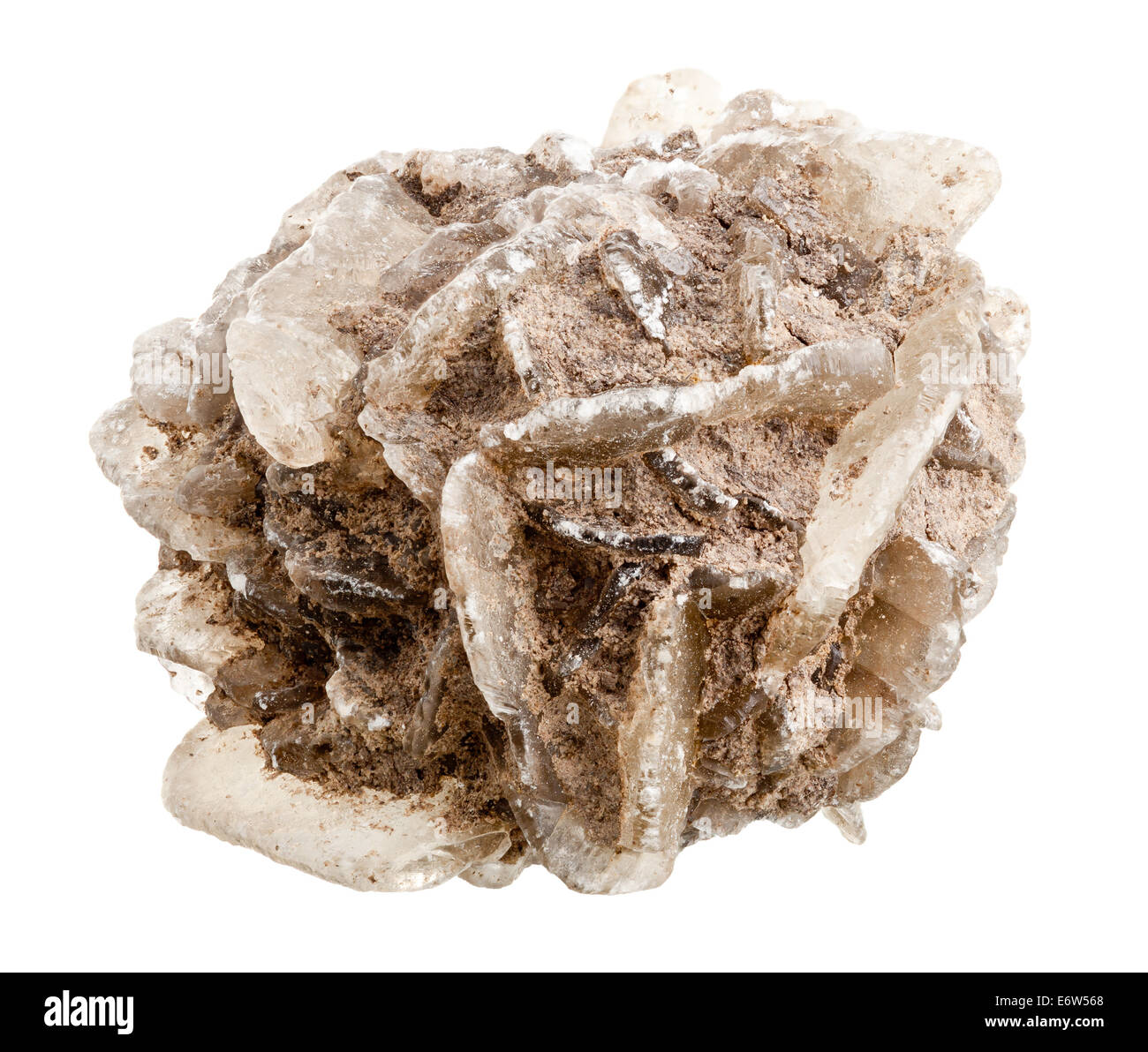 Gips-Rose (CaSO4·2H2O) isoliert auf weißem Hintergrund - Ammsdorf ...