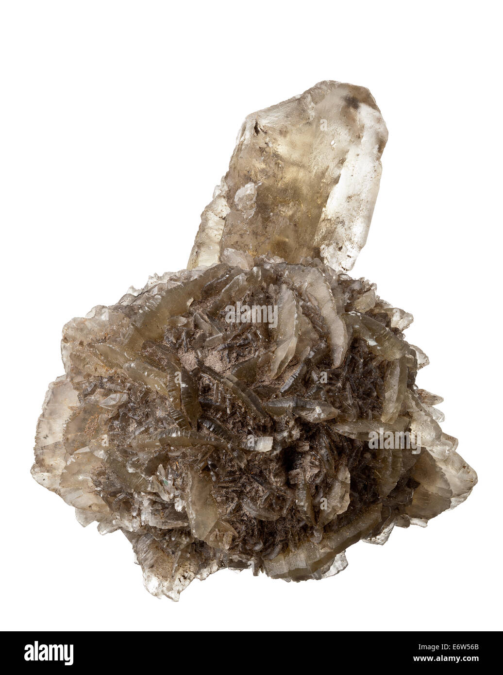 Gypsum Rose Stockfotos und -bilder Kaufen - Alamy