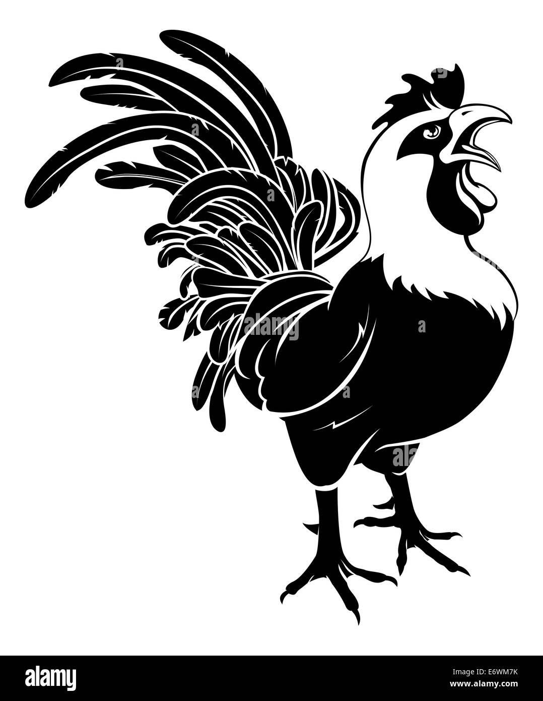 Ein Beispiel für einen stolzen Hahn Hahn Huhn Krähen Stockfotografie ...