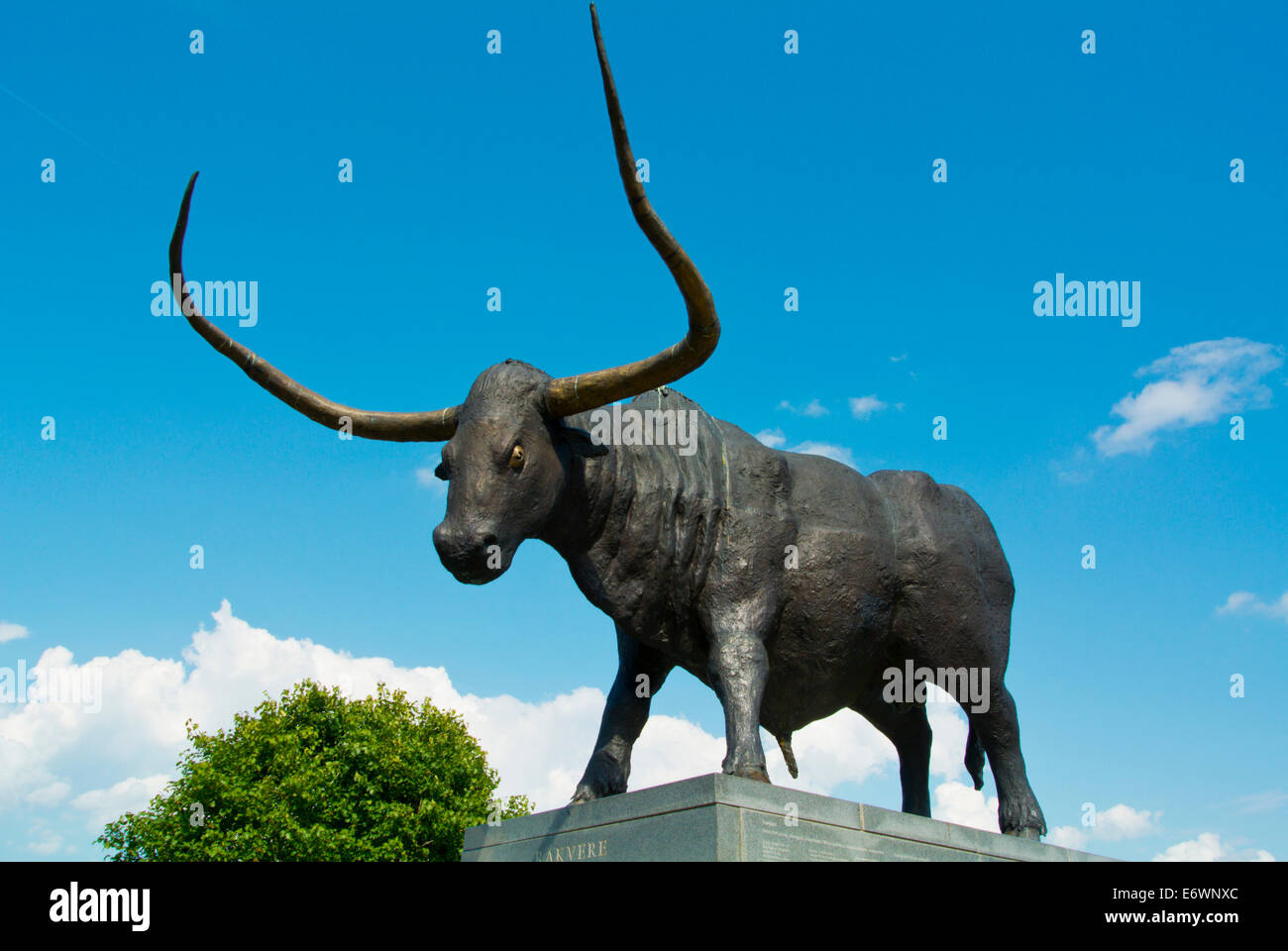 Rakvere stier statue -Fotos und -Bildmaterial in hoher Auflösung – Alamy