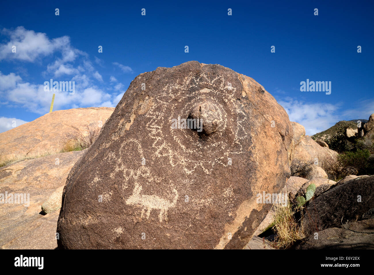 Hohokam culture -Fotos und -Bildmaterial in hoher Auflösung – Alamy
