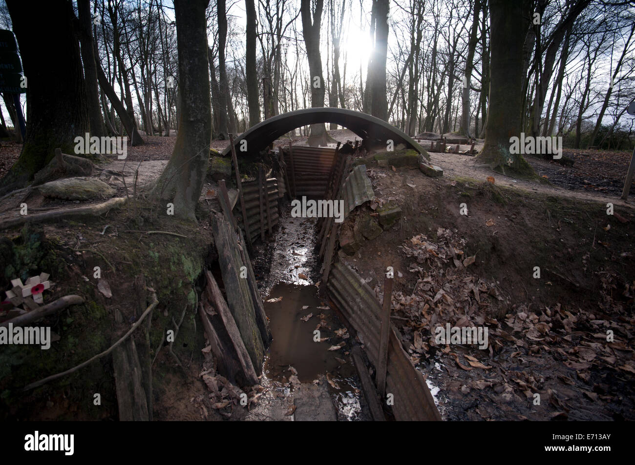 Ypern-Ieper WW1 Schlachtfeld, 1914-1918, Belgien. Hill 62 ...