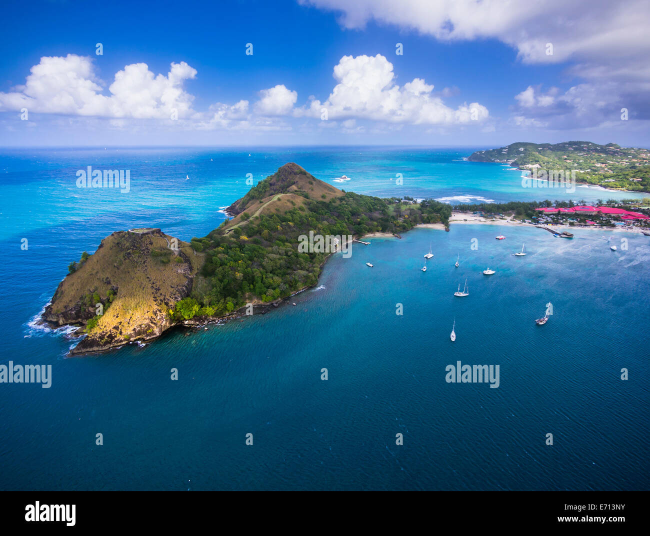 Karibik, Insel St. Lucia, Cap Estate, Taube, Nationalpark und Fort ...