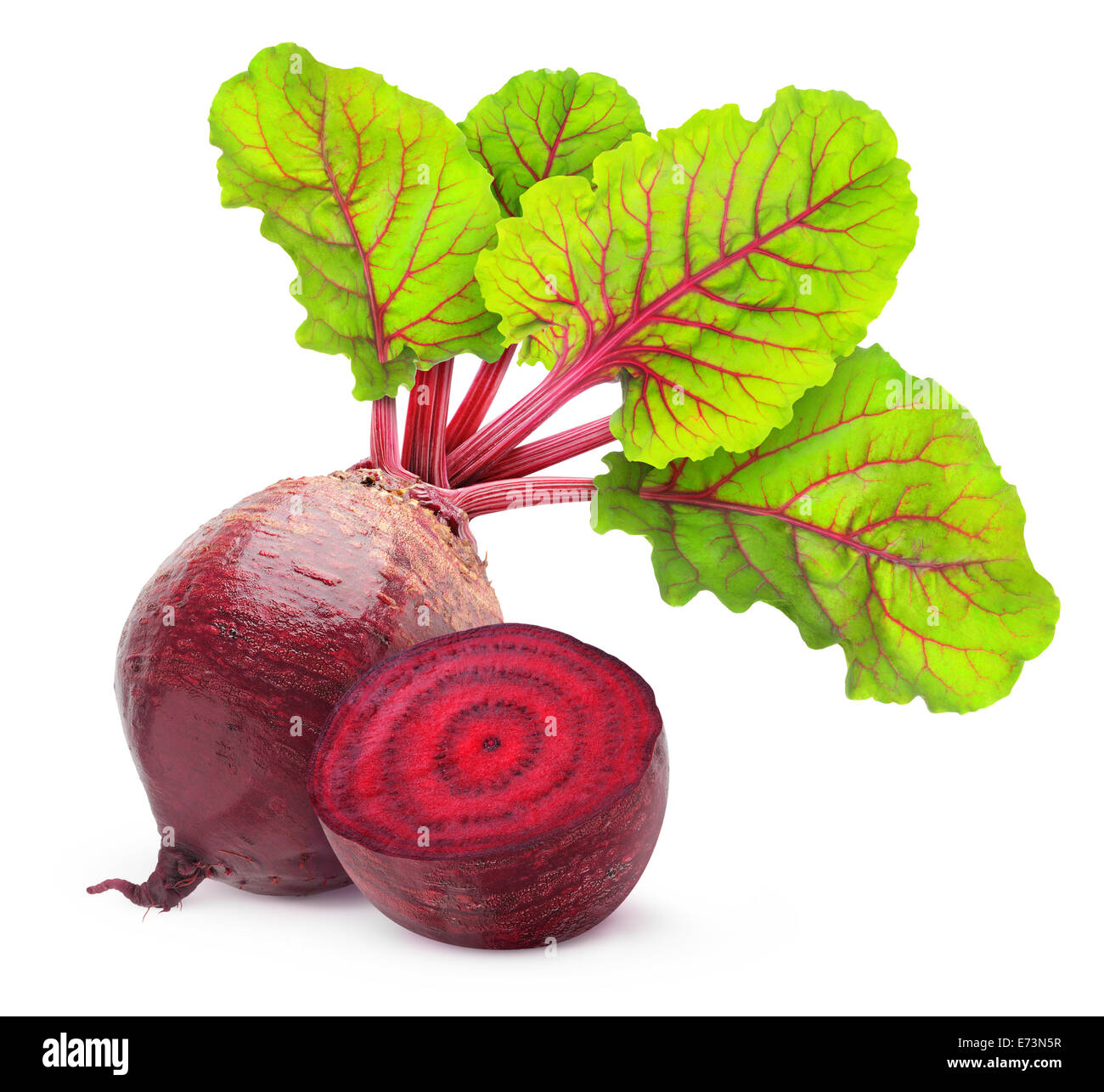 Red beetroot -Fotos und -Bildmaterial in hoher Auflösung – Alamy