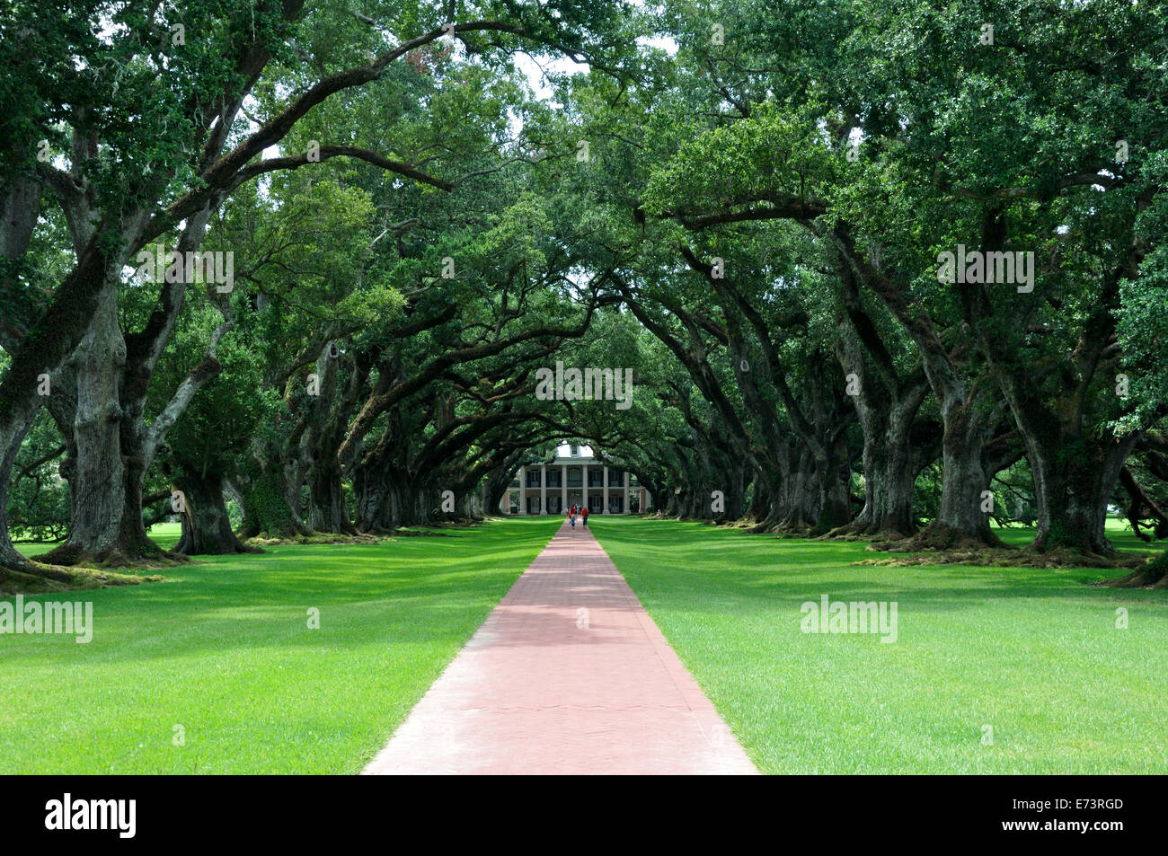 Oak alley plantation -Fotos und -Bildmaterial in hoher Auflösung – Alamy