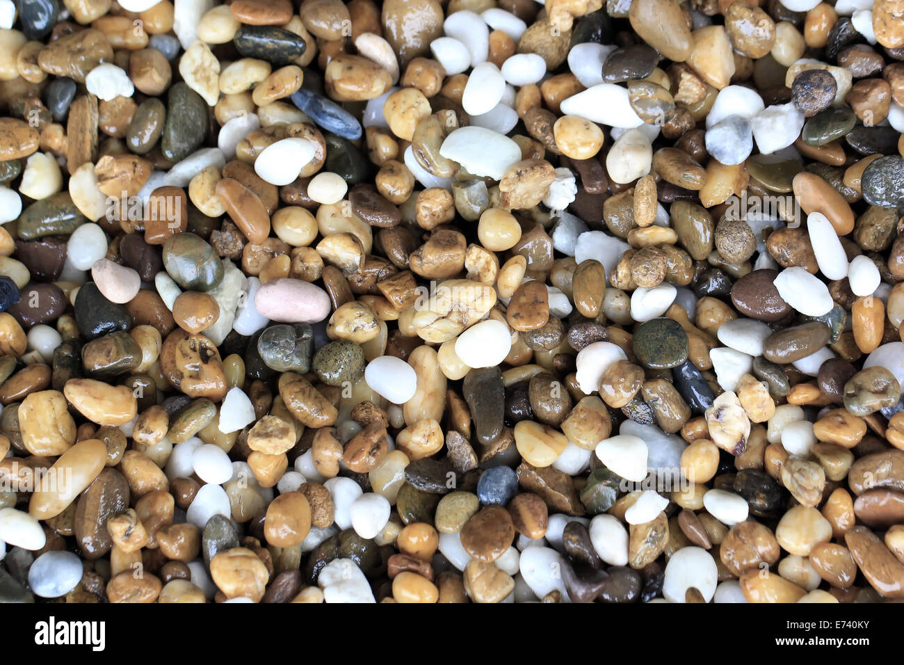 Großer kieselstein -Fotos und -Bildmaterial in hoher Auflösung – Alamy