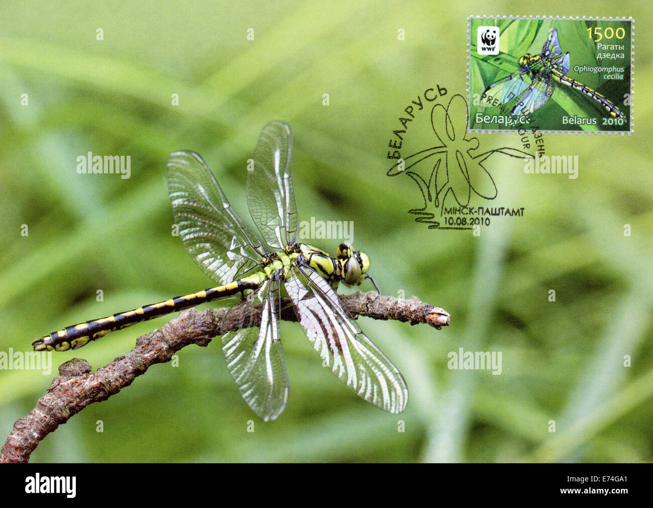 Belarussische fauna -Fotos und -Bildmaterial in hoher Auflösung – Alamy