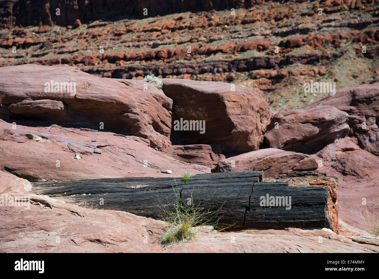 Fester fels -Fotos und -Bildmaterial in hoher Auflösung – Alamy