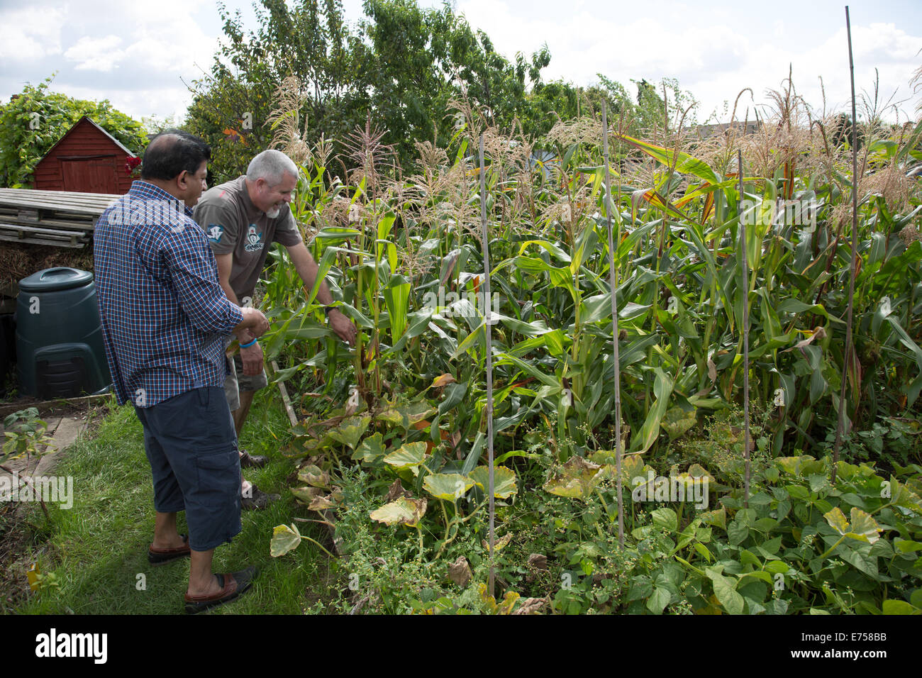 Zuteilung obst und gemüse -Fotos und -Bildmaterial in hoher Auflösung ...