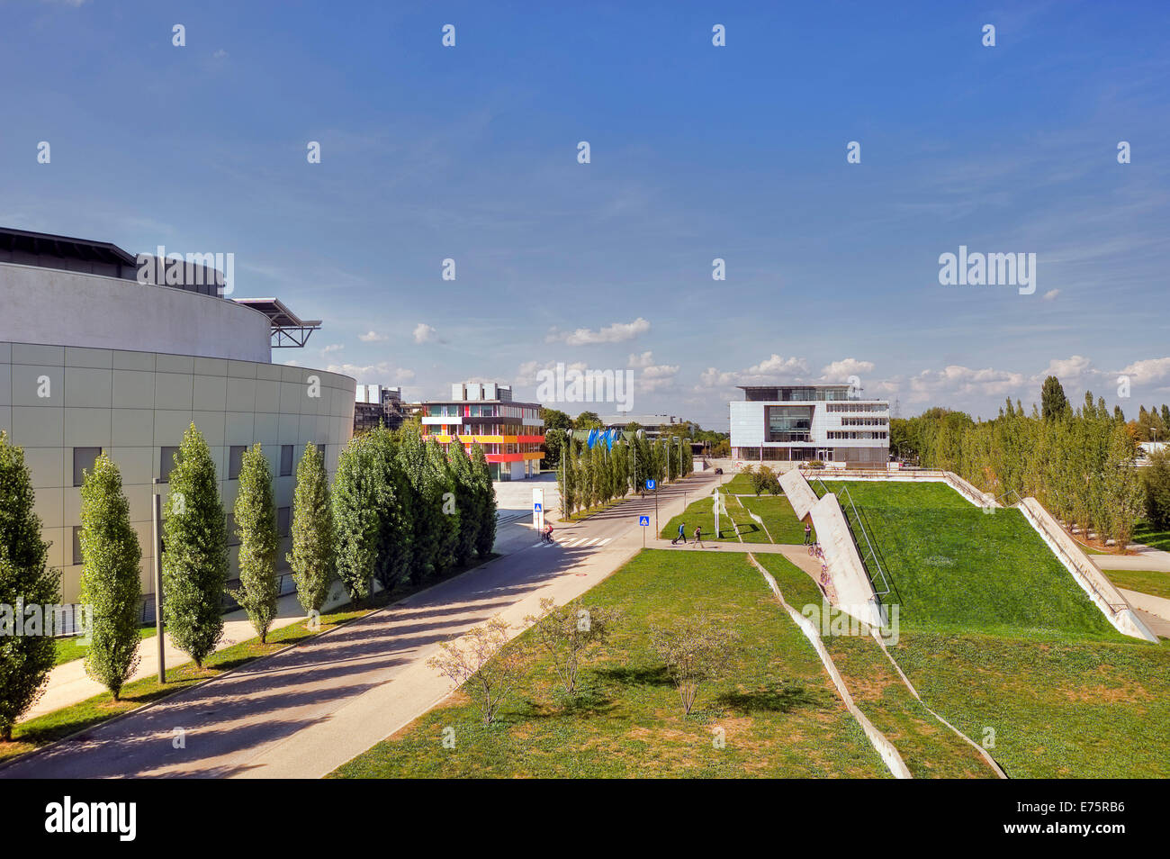Ludwig maximilian university of munich -Fotos und -Bildmaterial in ...