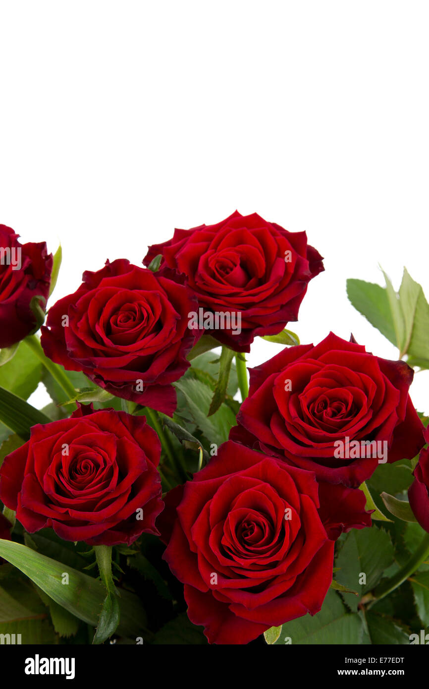 Frauentag hintergrund -Fotos und -Bildmaterial in hoher Auflösung – Alamy