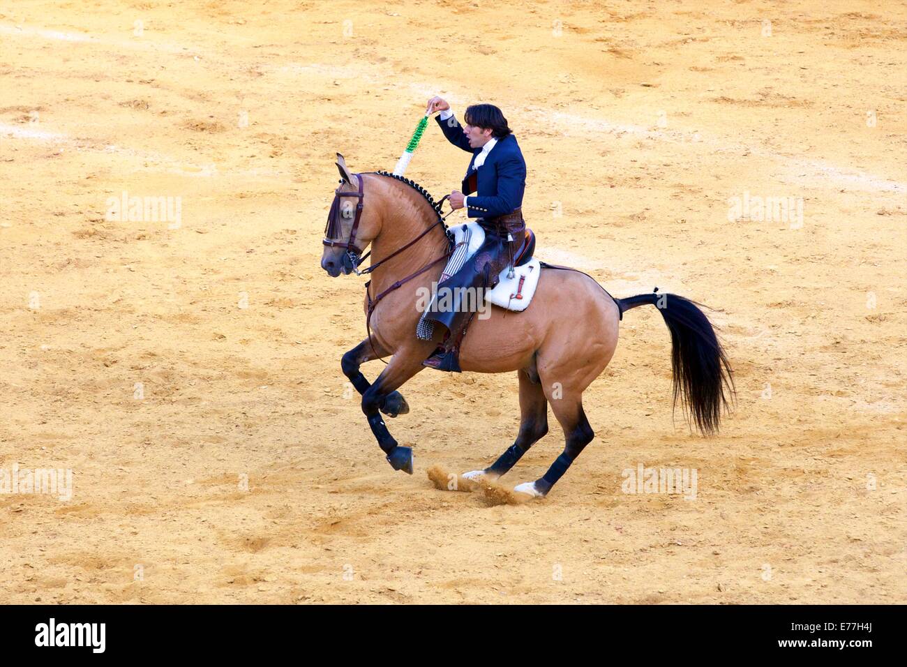 Stierkampf mit pferd -Fotos und -Bildmaterial in hoher Auflösung – Alamy