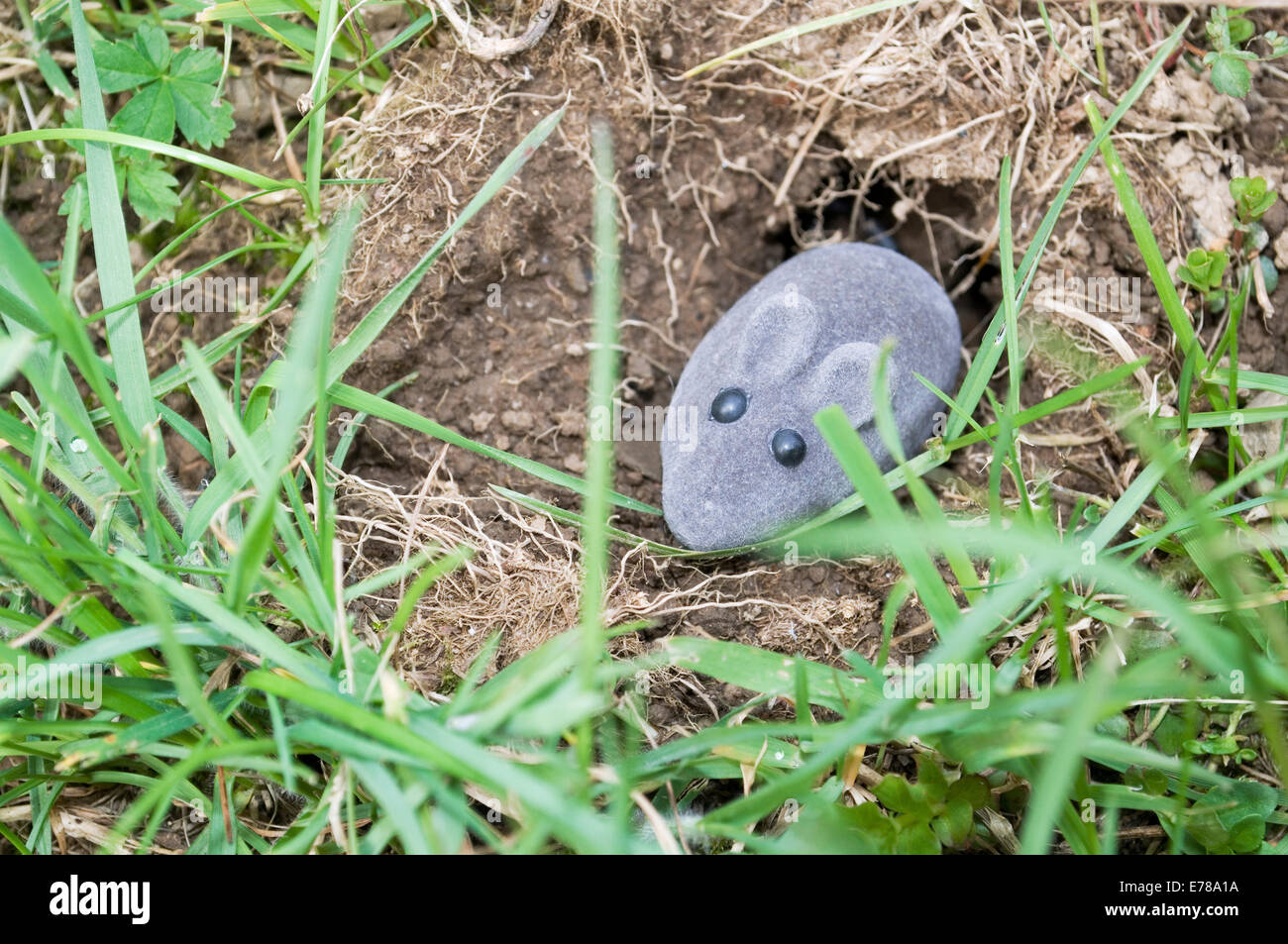 Fake mouse -Fotos und -Bildmaterial in hoher Auflösung – Alamy
